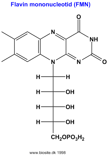 FAD - og flavinbundne dehydrogenaser og oxidaser