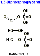 1,3-Diphosphoglycerat