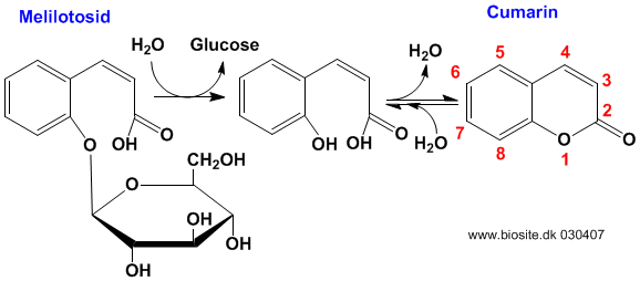 Cumarin - 2H-Chromen-2-on, coumarin, kumarin