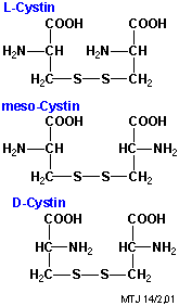 Cystin danner disulfidbroer eller disulfidbindinger