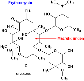 Erythromycin - et macrolid antibiotikum