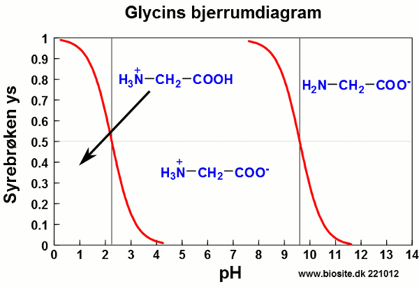 Glycin - den mest simple af alle aminosyrerne
