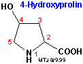 4-hydroxyprolin en sjælden aminosyre