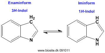 Indol - en heterocyclisk forbindelse