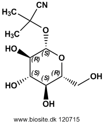 Linamarin - et cyanogent glycosid