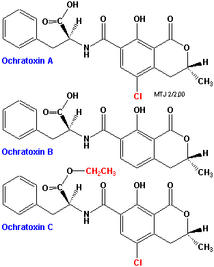 Ochratoxin - okratoksin er en gruppe mycotoxiner der produceres svampe