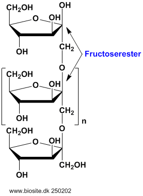 Oligofructose