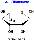 Rhamnose