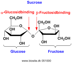 Sucrose - sukker