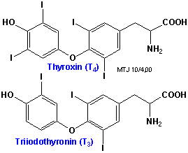 Thyroxin og triiodothyronin iodproteiner fra skjoldbruskkirtlen