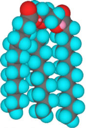 Glycerider, monoglycerid, diglycerid, triglycerid - er estre mellem tri ...