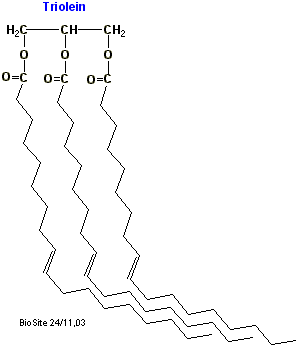 Triolein - et triglycerid hvor tre oliesyrer er forestret til glycerol