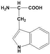 Aminosyre - Aminosyrer er organiske forbindelser der er karakteriseret ved at indeholde både en ...