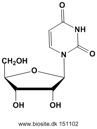 Uridine